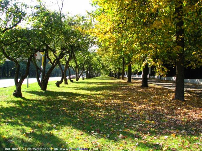 🔥 [50+] 800 x 600 Summer Wallpapers | WallpaperSafari