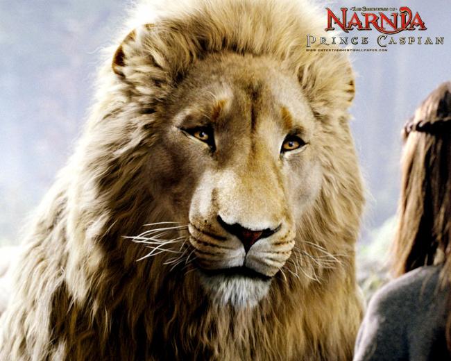 🔥 [110+] Narnia Aslan Wallpapers | WallpaperSafari