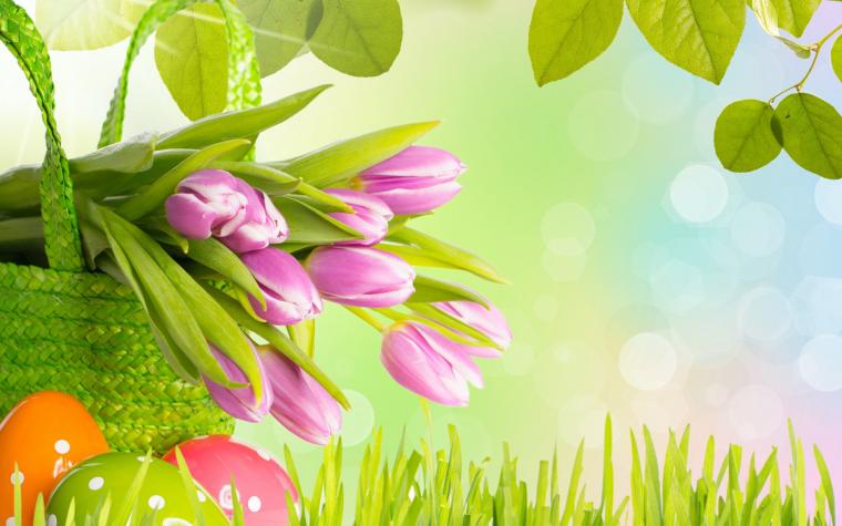 🔥 [50+] Easter Flowers Wallpapers | WallpaperSafari