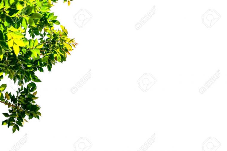 Free download Normal Background 99 images in Collection Page 1 ...