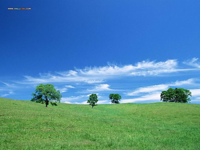 🔥 [120+] Free Wallpapers Country Scenes | WallpaperSafari