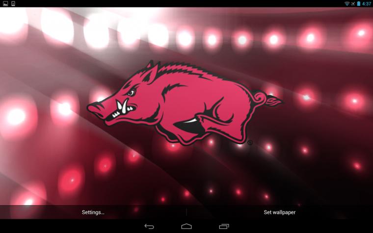 🔥 [50+] Razorback Wallpapers for Computer Screen | WallpaperSafari