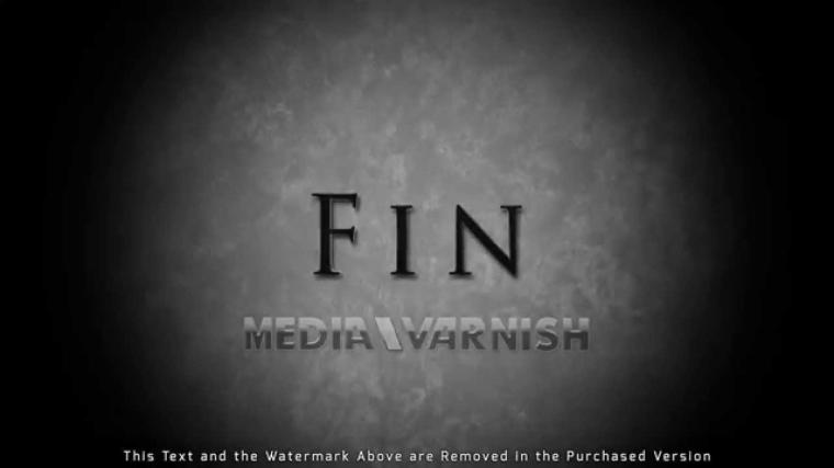 🔥 [30+] Fin Backgrounds | WallpaperSafari