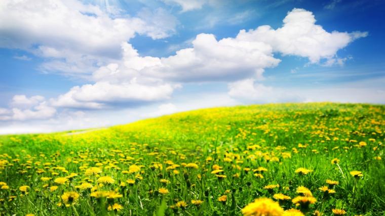 🔥 [40+] Spring in Scotland Wallpapers | WallpaperSafari