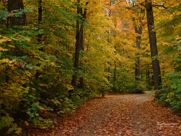 Free download desktop wallpaper fall scenes wwwwallpapers in hdcom ...