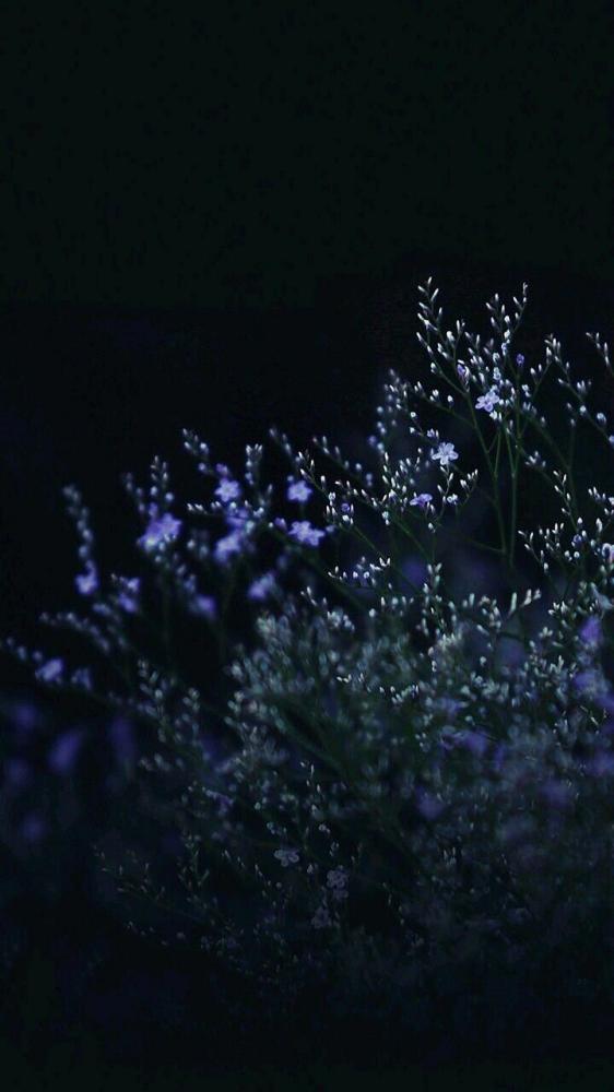 🔥 [20+] Space Flower Wallpapers | WallpaperSafari