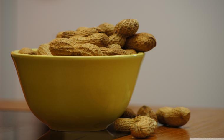 🔥 [40+] Nuts Wallpapers | WallpaperSafari