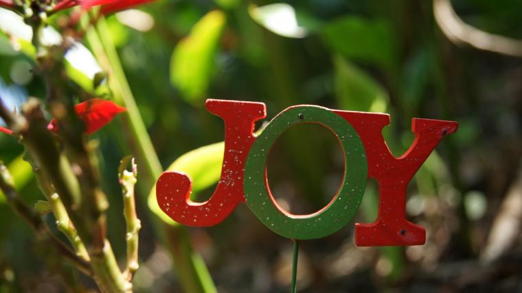 🔥 [50+] Joy Wallpapers | WallpaperSafari