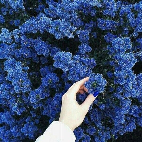 🔥 [100+] Blue Aesthetic Tumblr Wallpapers | WallpaperSafari