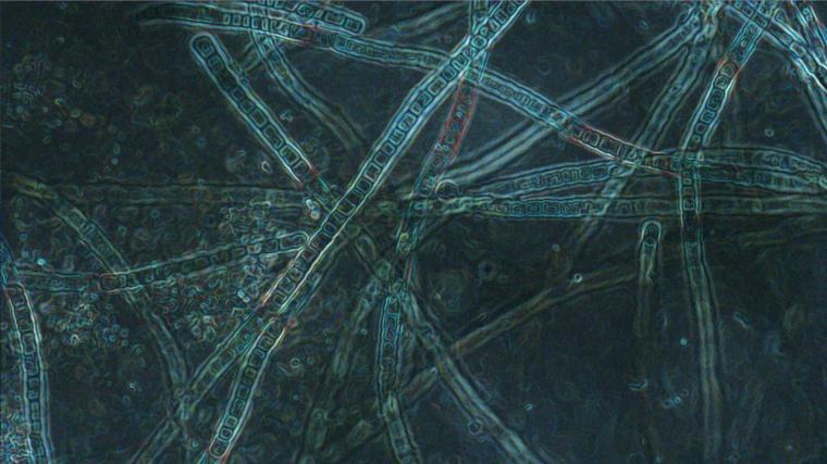 🔥 [30+] Gis Backgrounds | WallpaperSafari