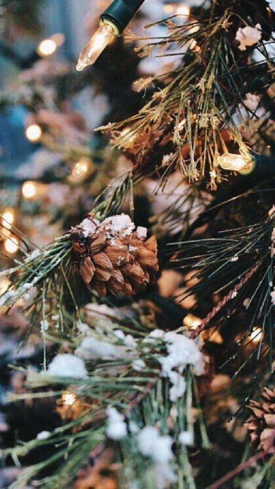 🔥 [40+] Aesthetic Christmas Tree Wallpapers | WallpaperSafari