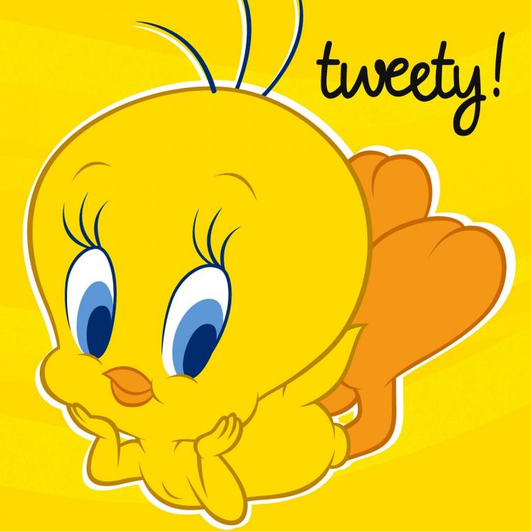 Free download Cartoon Tweety Pie Tweety Wallpaper [1280x1024] for your ...