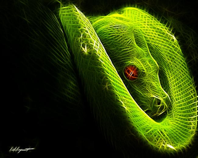 🔥 [50+] Green Tree Python Wallpapers | WallpaperSafari