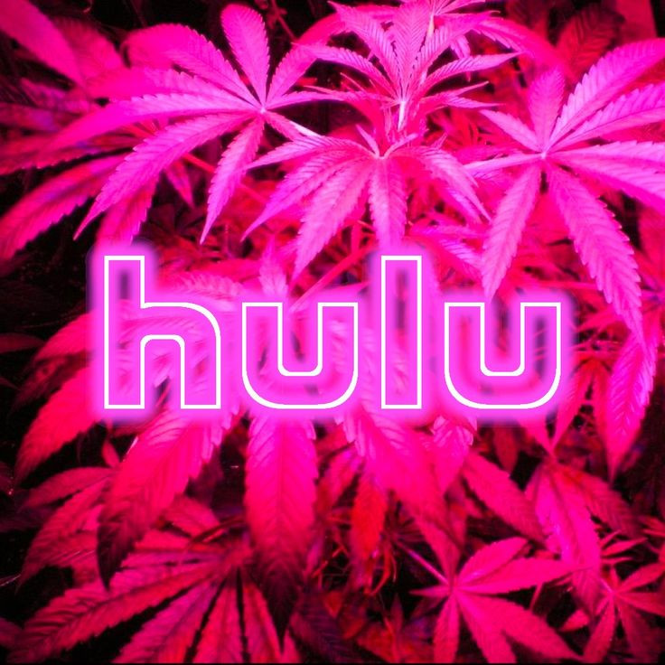 🔥 [40+] Red Neon Weed Wallpapers | WallpaperSafari