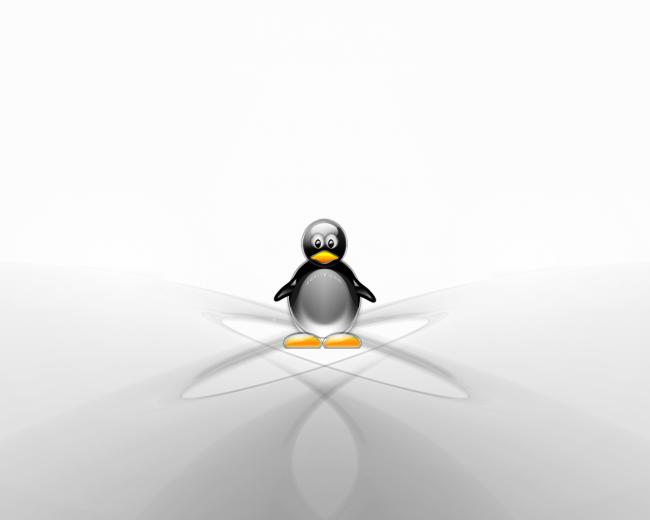 🔥 [50+] Linux Penguin Wallpapers | WallpaperSafari