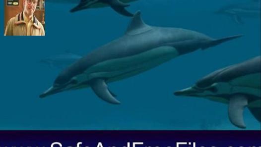 🔥 [50+] Dailymotion Wallpapers | WallpaperSafari