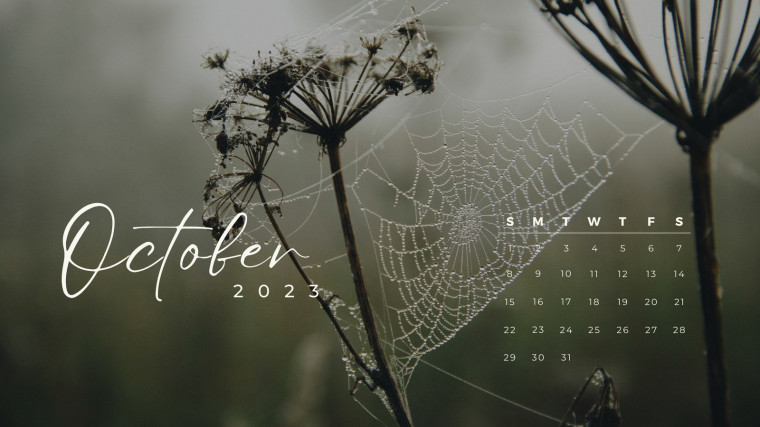 🔥 Free Download And Customizable October Templates by @victoriap ...
