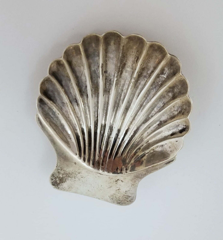 🔥 [70+] Clam Shell Wallpapers | WallpaperSafari