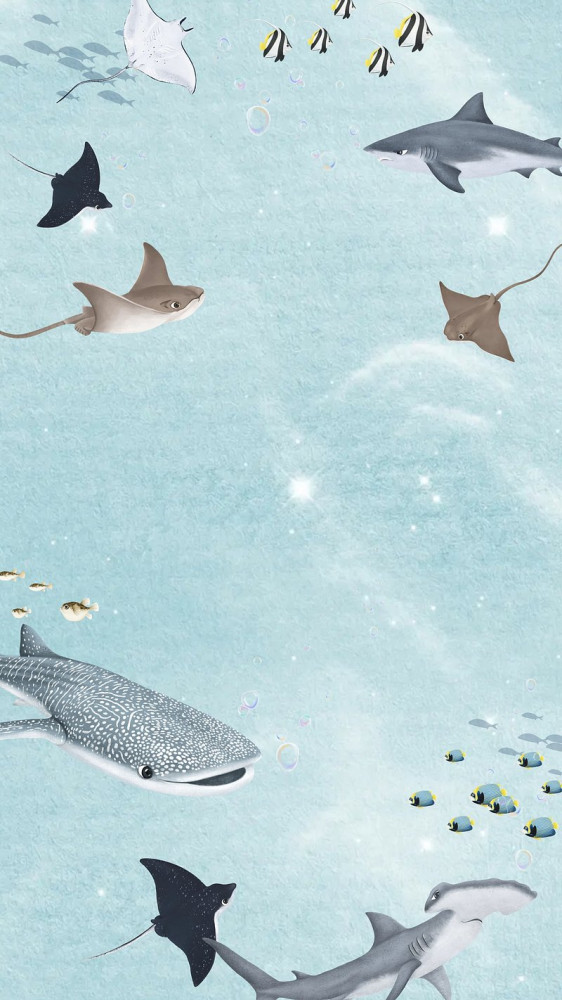 🔥 [80+] Shark Iphone Wallpapers | WallpaperSafari