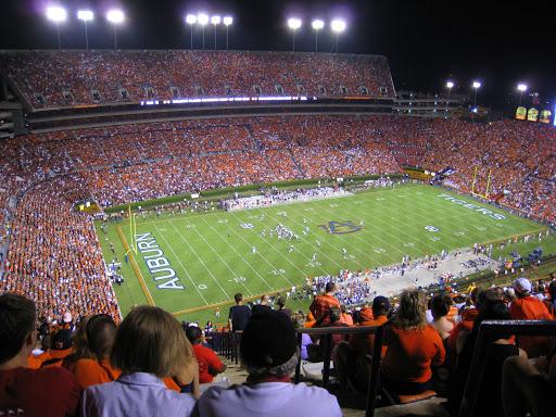 🔥 [40+] Jordan Hare Wallpapers | WallpaperSafari