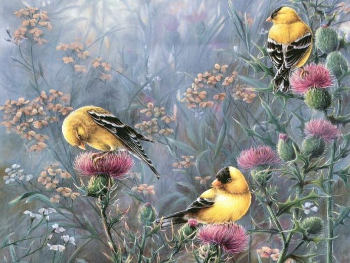 🔥 [40+] Late Spring Wallpapers | WallpaperSafari