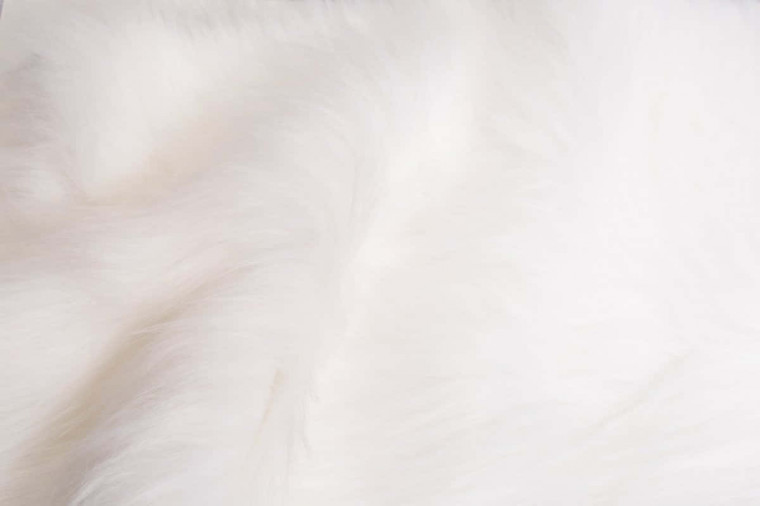 🔥 Free Download Animal Fur Wallpaper by @kfitzgerald | WallpaperSafari