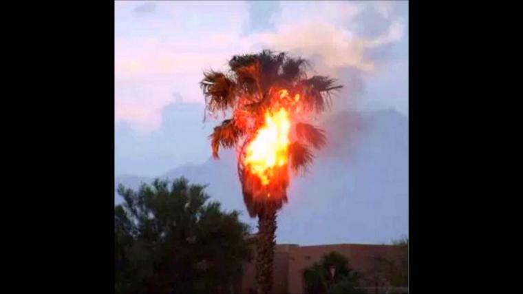 🔥 [30+] Worldstar Wallpapers | WallpaperSafari