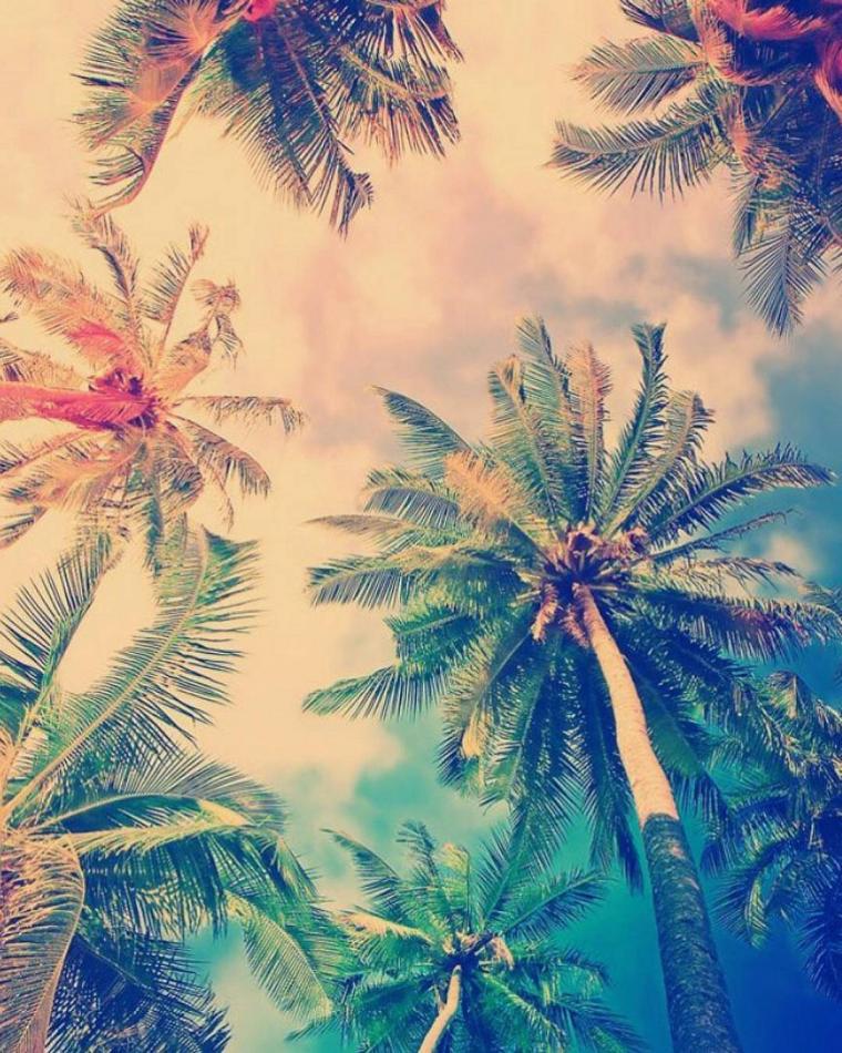 🔥 [20+] Hipster Summer Wallpapers | WallpaperSafari