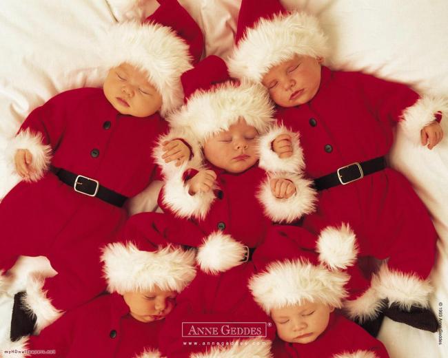 🔥 Free Download Derek Geddes Photography Christmas Anne Baby S Fall by ...