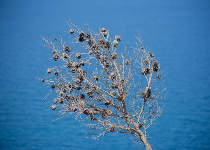 🔥 [50+] Griz Wallpapers | WallpaperSafari