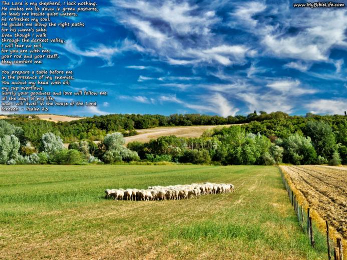 🔥 [50+] Psalms Desktop Wallpapers | WallpaperSafari