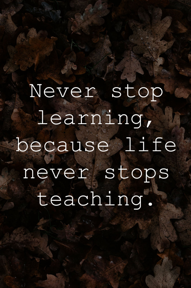 🔥 [50+] Learning Quote Wallpapers | WallpaperSafari