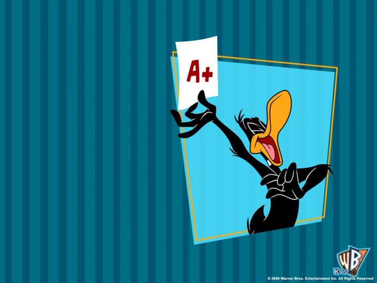 🔥 Free Download Daffy Duck Computer Wallpaper Desktop Background by ...