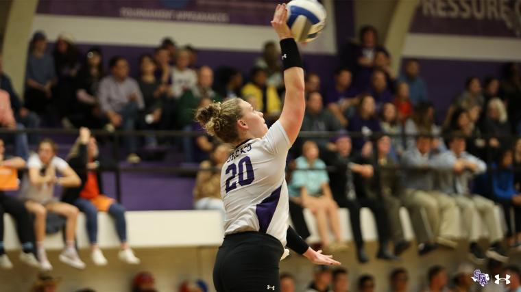 🔥 [100+] SFASU Backgrounds | WallpaperSafari