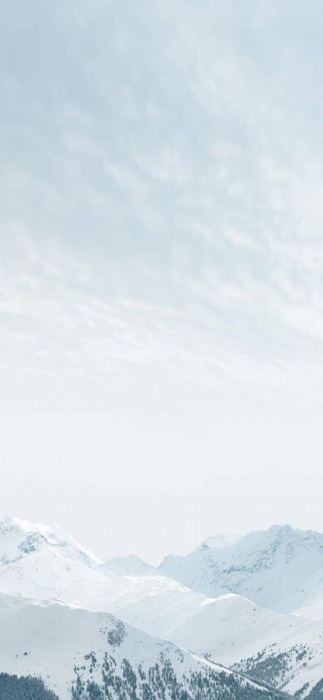 🔥 [40+] Plain Iphone Wallpapers | WallpaperSafari