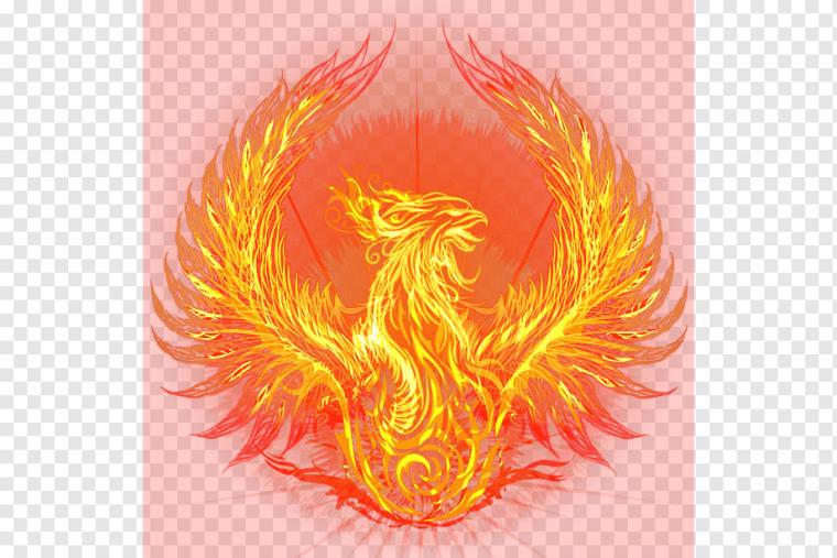 🔥 [20+] Flamebird Wallpapers | WallpaperSafari