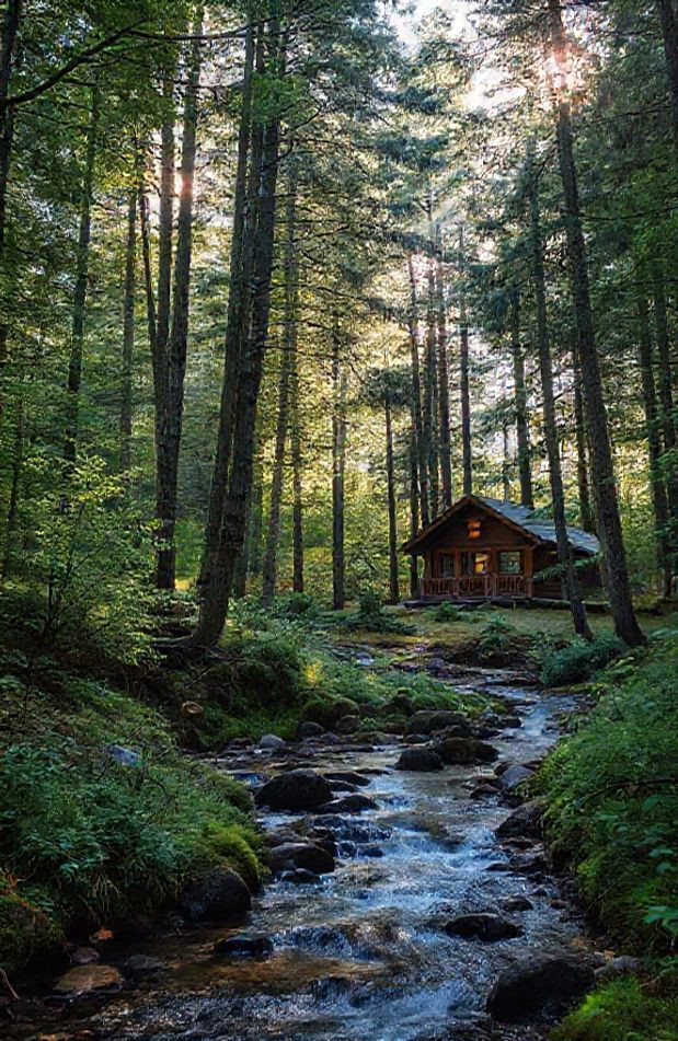 🔥 [90+] Nature Home Wallpapers | WallpaperSafari