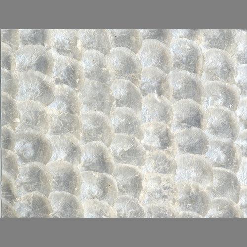 🔥 [50+] Capiz Shell Wallpapers | WallpaperSafari