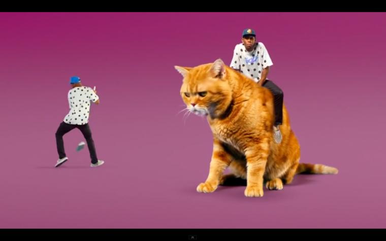 🔥 [50+] Tyler The Creator Phone Wallpapers | WallpaperSafari