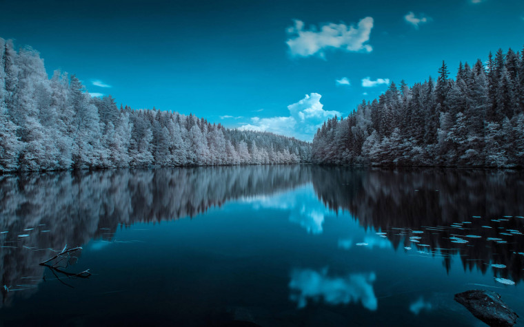 🔥 [50+] Forest Lake Wallpapers | WallpaperSafari