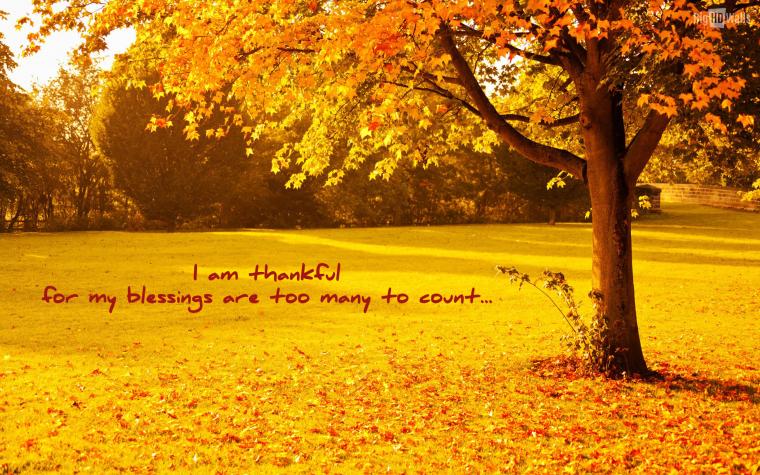 🔥 [80+] Thanksgiving Scenes Wallpapers | WallpaperSafari