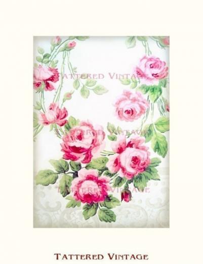 Free download Romantic Antique Wallpaper Pink Cabbage Roses on White ...