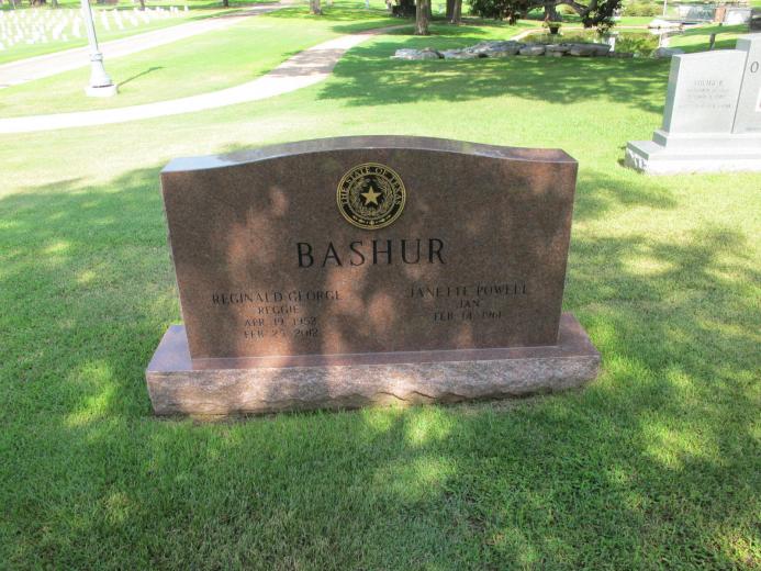 🔥 [40+] Bashur Wallpapers | WallpaperSafari