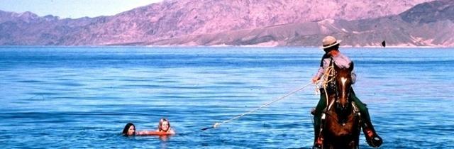 🔥 [50+] Mead Downloadable Wallpapers | WallpaperSafari