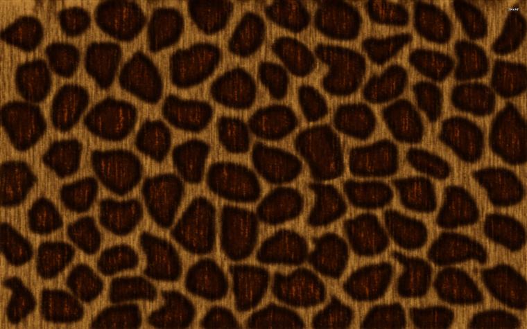 🔥 Free Download Fur Wallpaper by @andreamoreno | WallpaperSafari