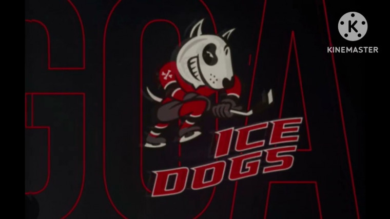 🔥 [30+] Niagara Ice Dog Logos Wallpapers | WallpaperSafari