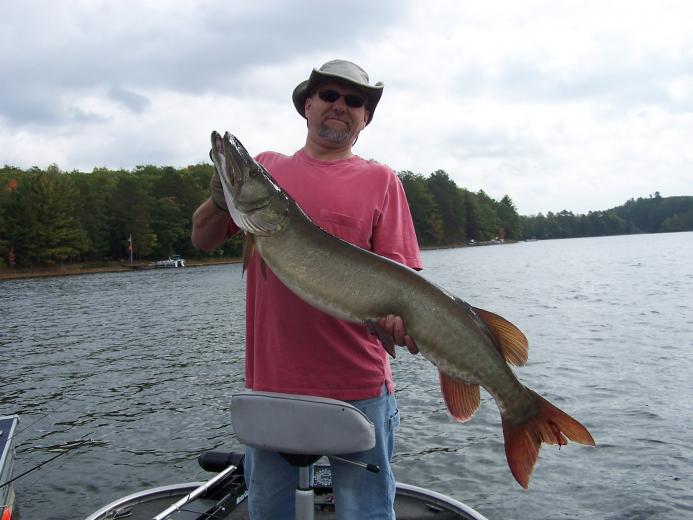 🔥 Free Download Kentucky Mountain Muskie Cave Run Lake Musky Tattoo ...