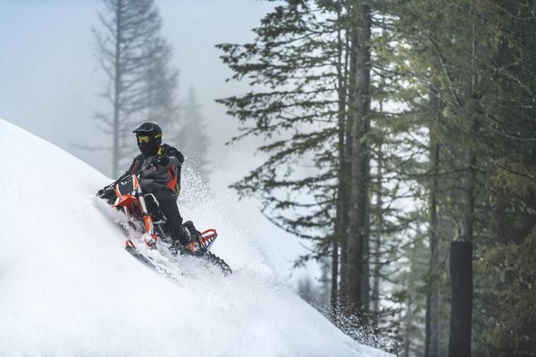 [38+] Timbersled Wallpaper on WallpaperSafari