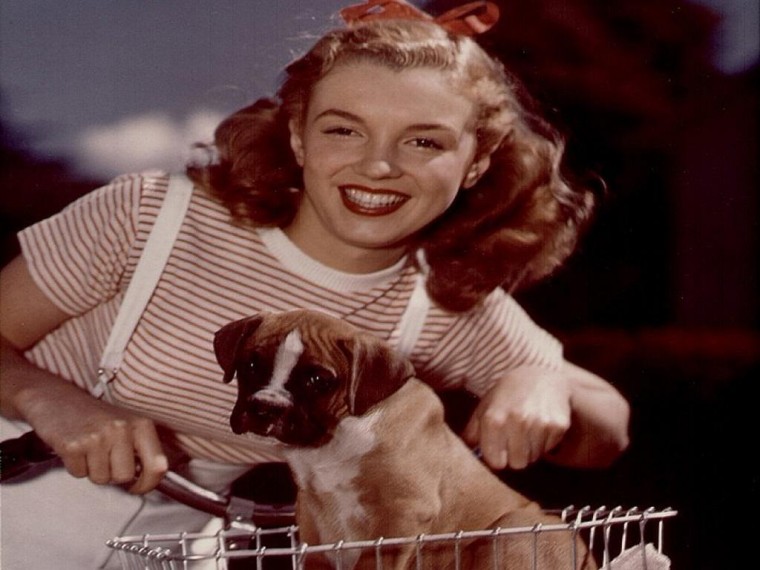 🔥 Free Download Back Gallery For Norma Jean Band Wallpaper by ...