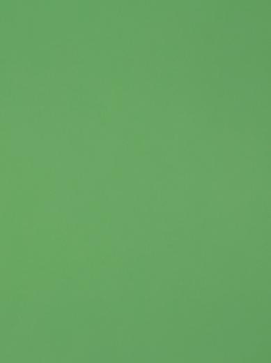 🔥 [30+] Giggle Wallpapers | WallpaperSafari